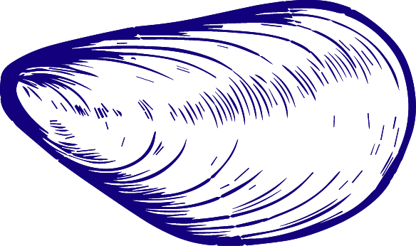 De bedste muslinger på dåse fra Grøndals | Se udvalget her